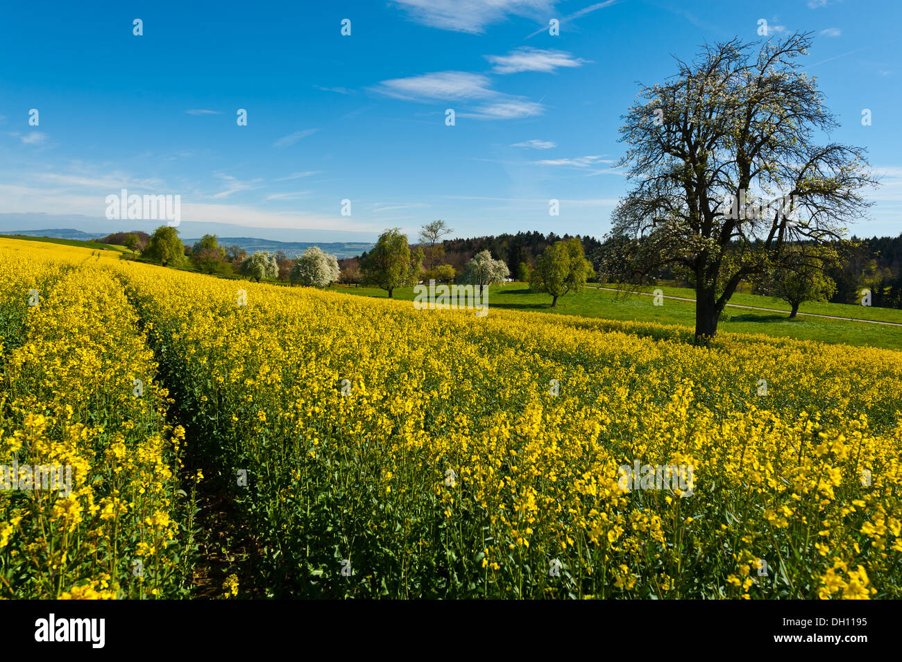 Sloping meadows hi-res stock photography and images - Alamy