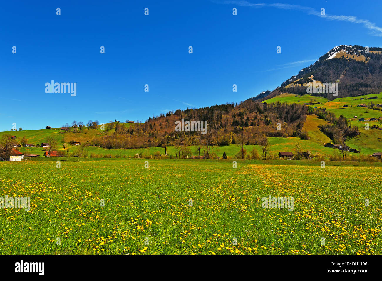 Small village pasture hi-res stock photography and images - Alamy