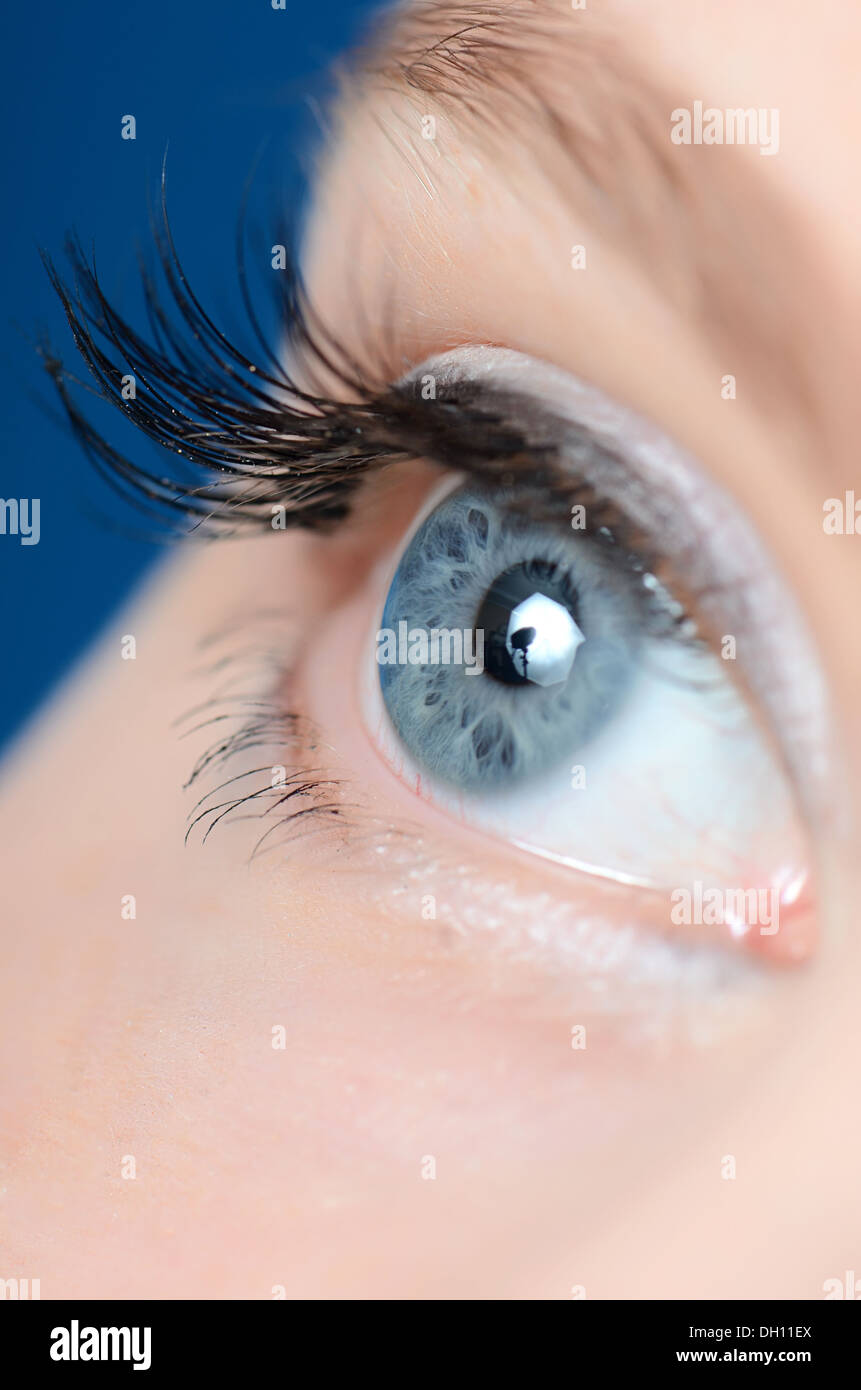 Female eye with long eyelashes close-up Stock Photo - Alamy