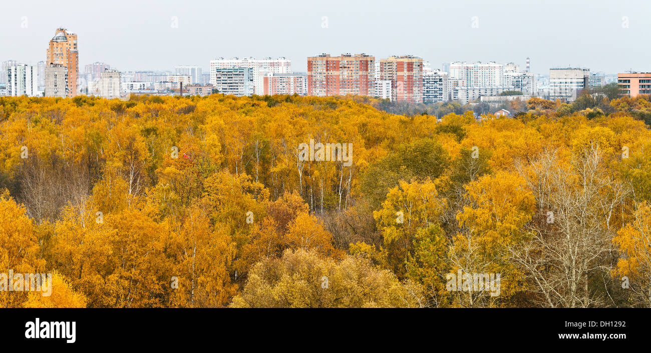 city panoramic view with autumn urban park Stock Photo - Alamy