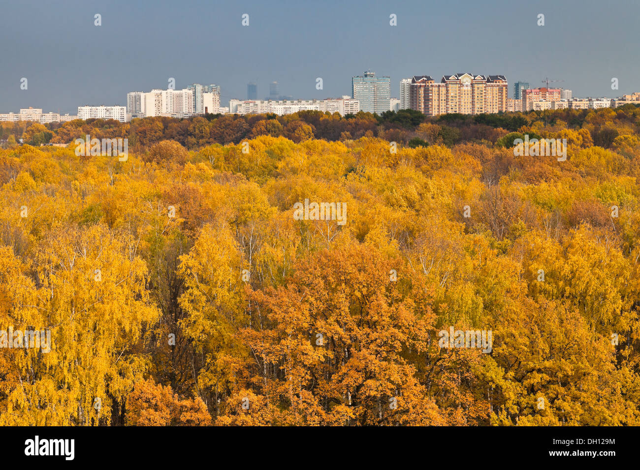 cityscape with yellow autumn urban park Stock Photo - Alamy
