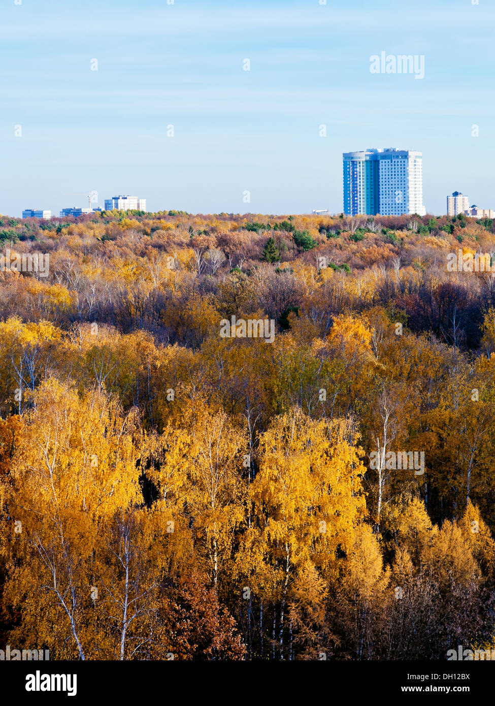 Urban house over forest hi-res stock photography and images - Alamy