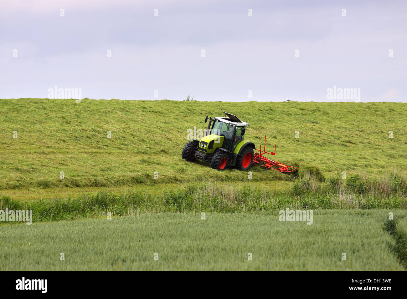 Turn hay hi-res stock photography and images - Alamy