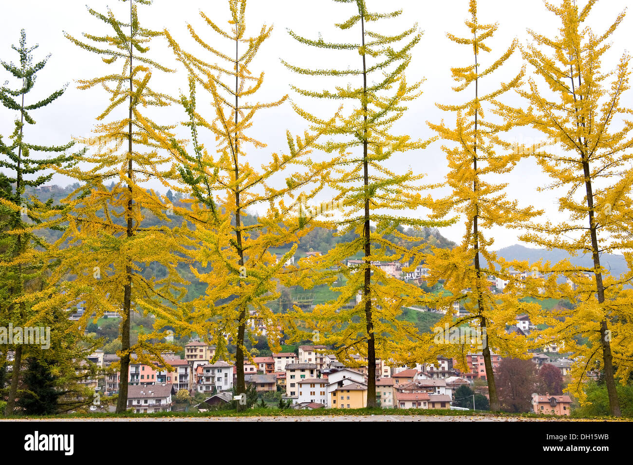Italy, Veneto, Recoaro Terme, landscape Stock Photo - Alamy