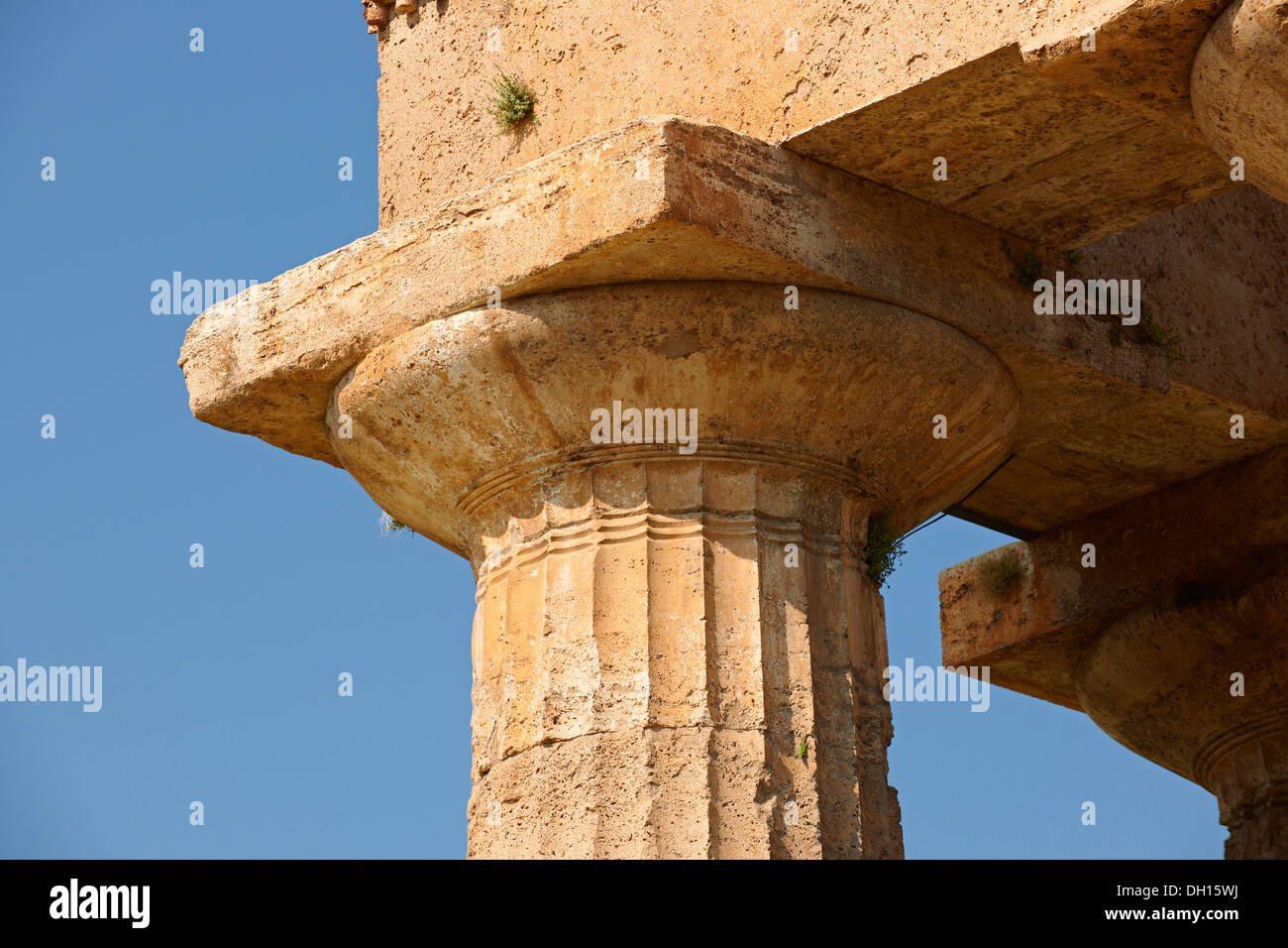 Doric Greek capitals & columns of the Temple of Hera of Paestum built ...