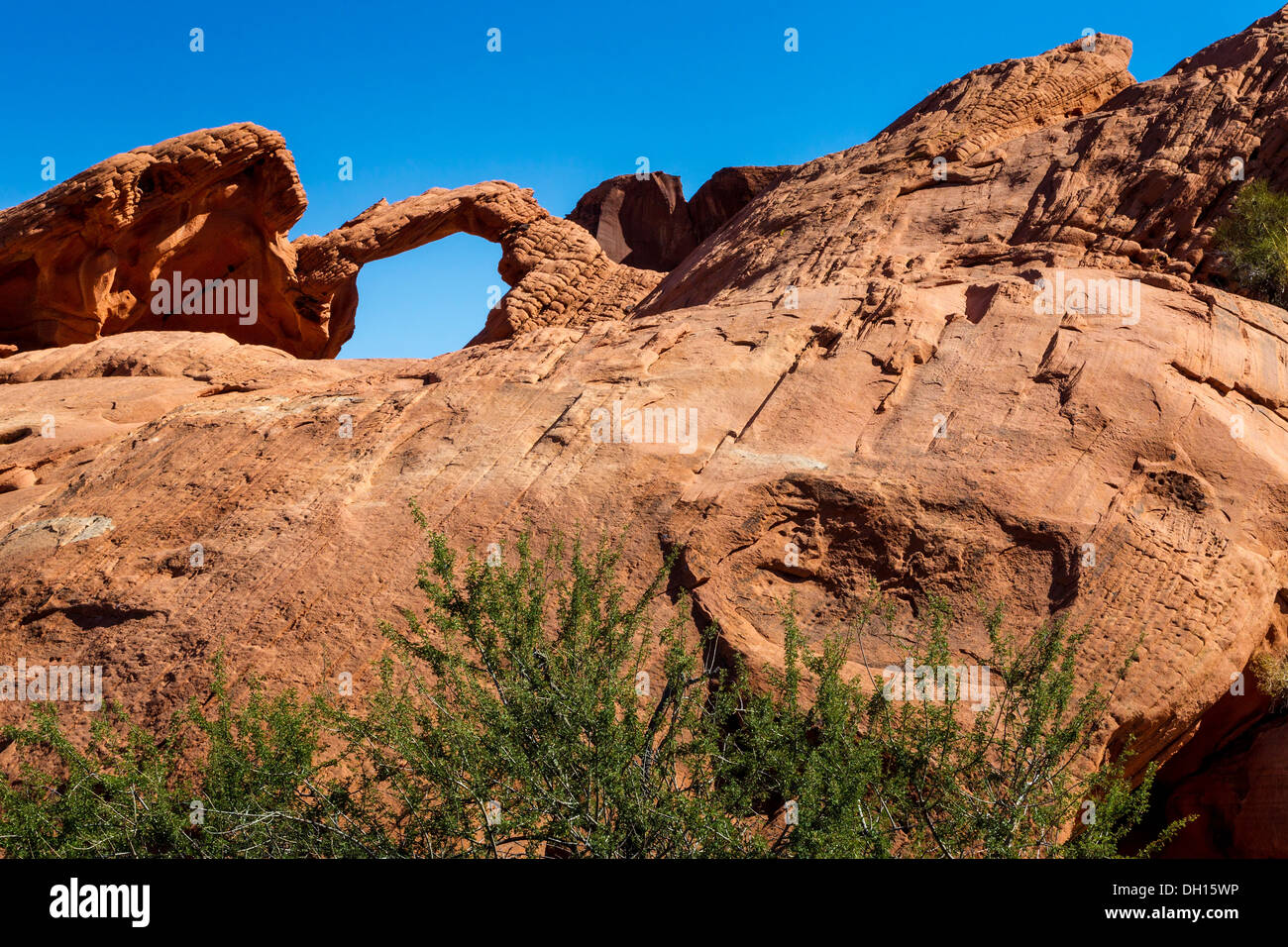 Sandstone Sculptured into a Arch by erosion caused by the wind and rain ...