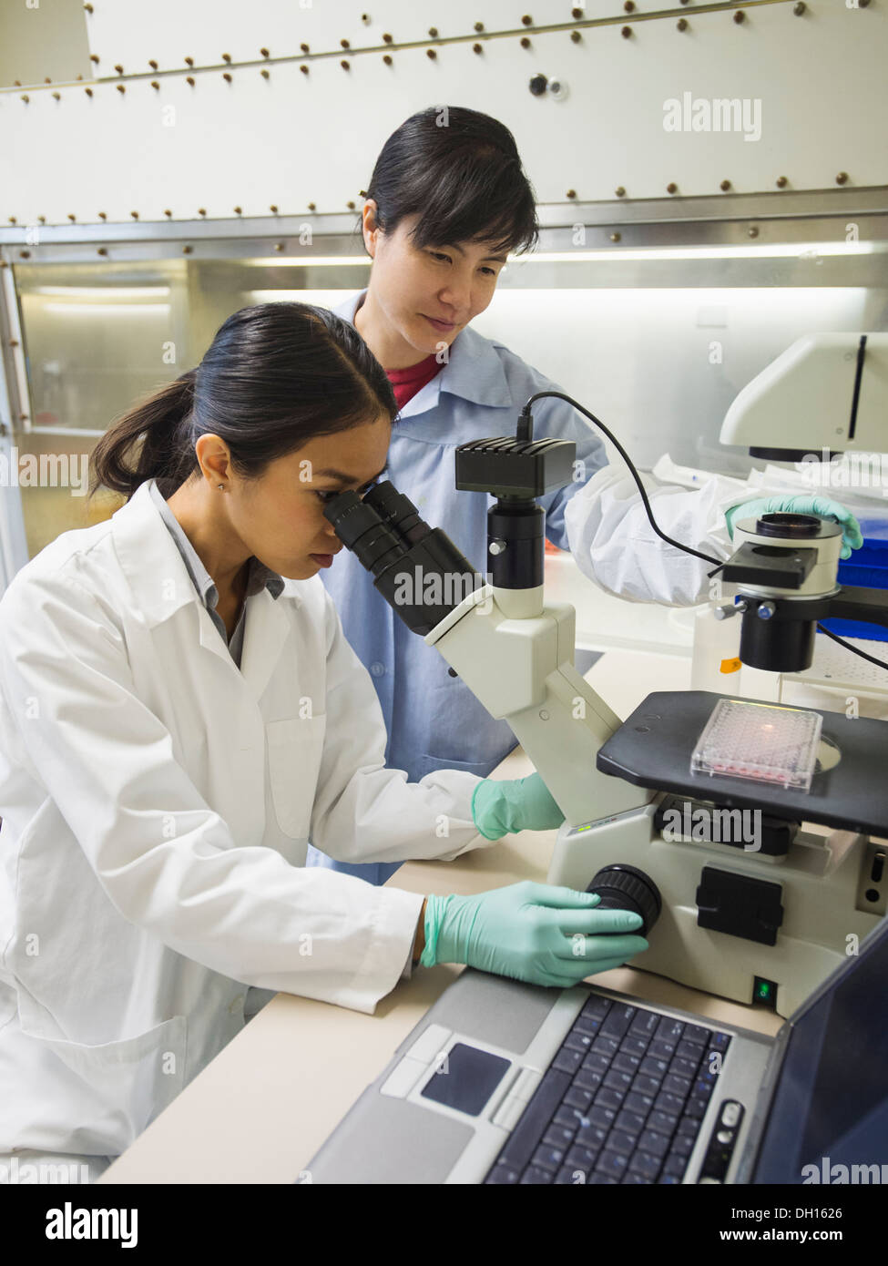 Scientists working in laboratory Stock Photo - Alamy