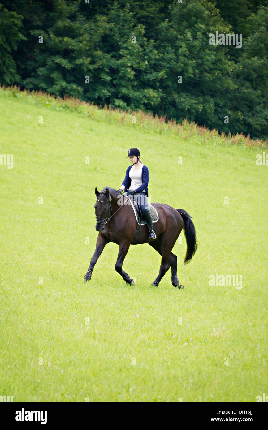 Woman Riding Horse in Rural Landscape, Baden Wuerttemberg, Germany ...