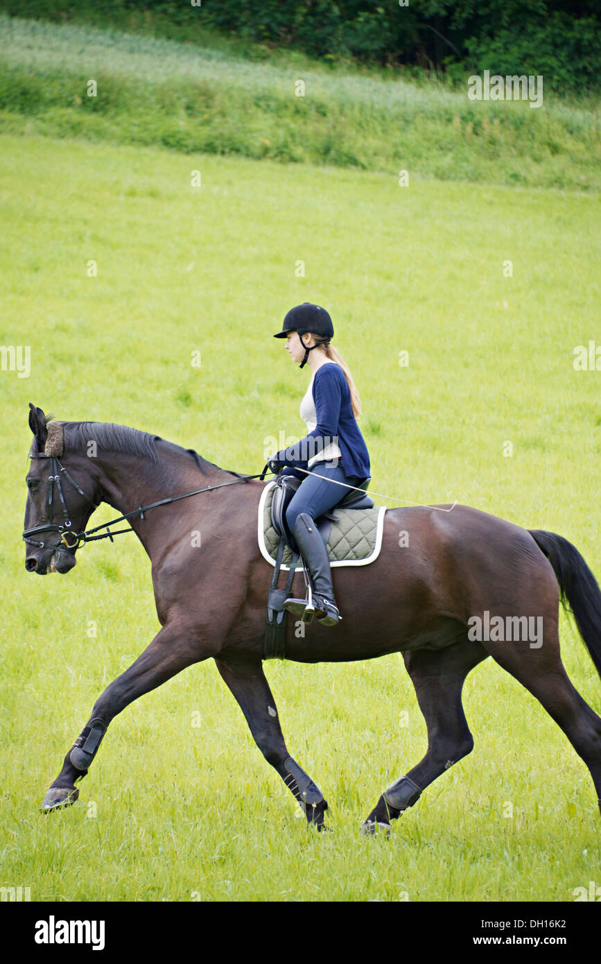 Woman Riding Horse in Rural Landscape, Baden Wuerttemberg, Germany ...