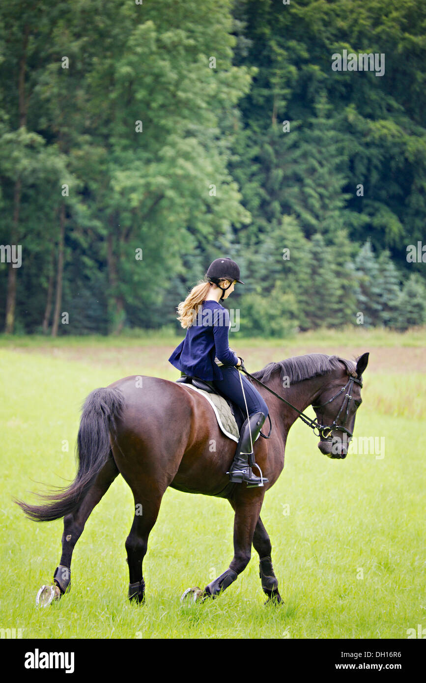 Woman Riding Horse in Rural Landscape, Baden Wuerttemberg, Germany ...