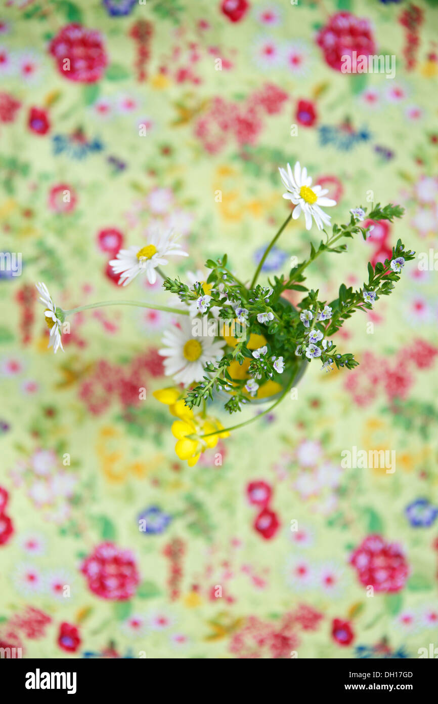 Bunch of daisies hi-res stock photography and images - Alamy