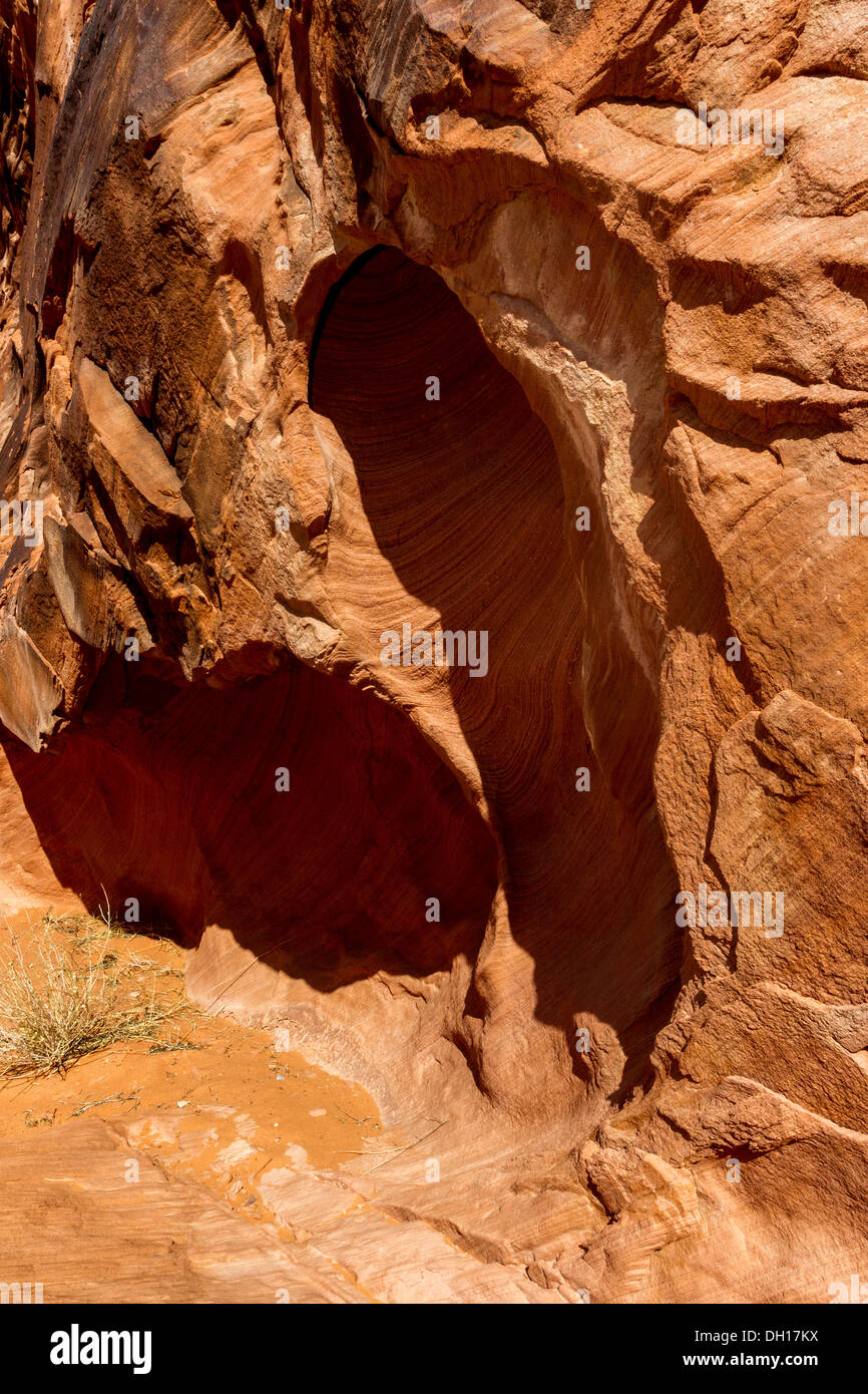 Sandstone Sculptured into caves through erosion by the wind and rain ...