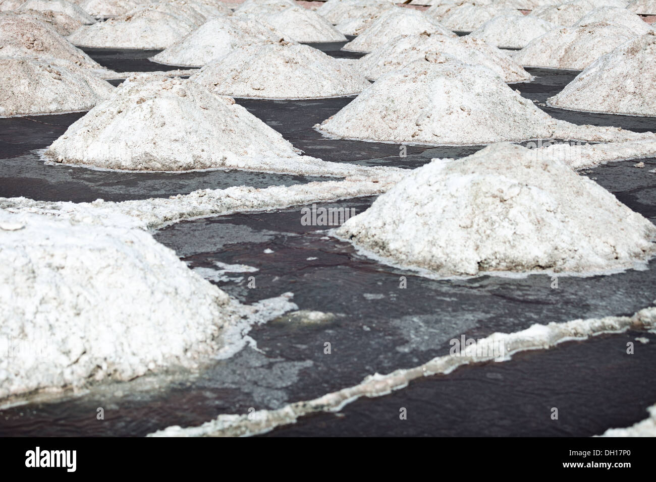 Heaps of natural salt. Salt production in India Stock Photo - Alamy