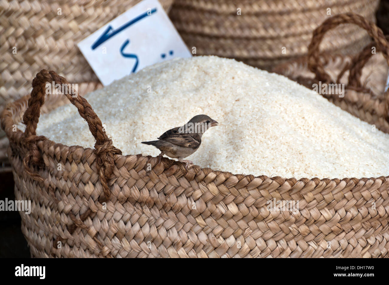 Rice bird hi-res stock photography and images - Alamy