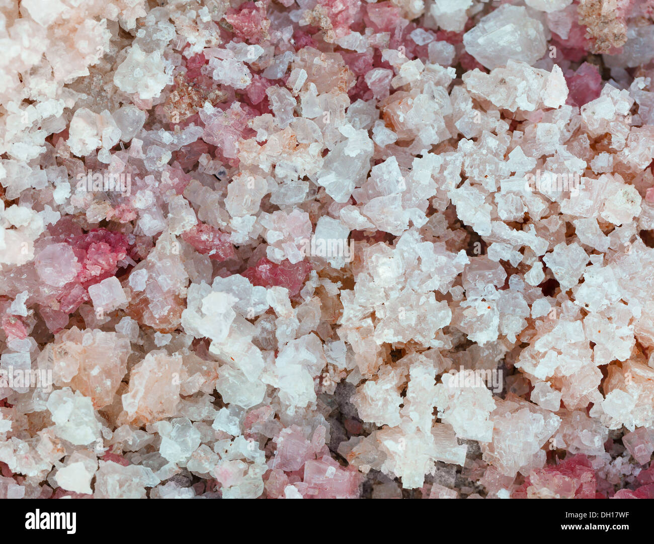 Natural salt with large pink crystals close up Stock Photo - Alamy