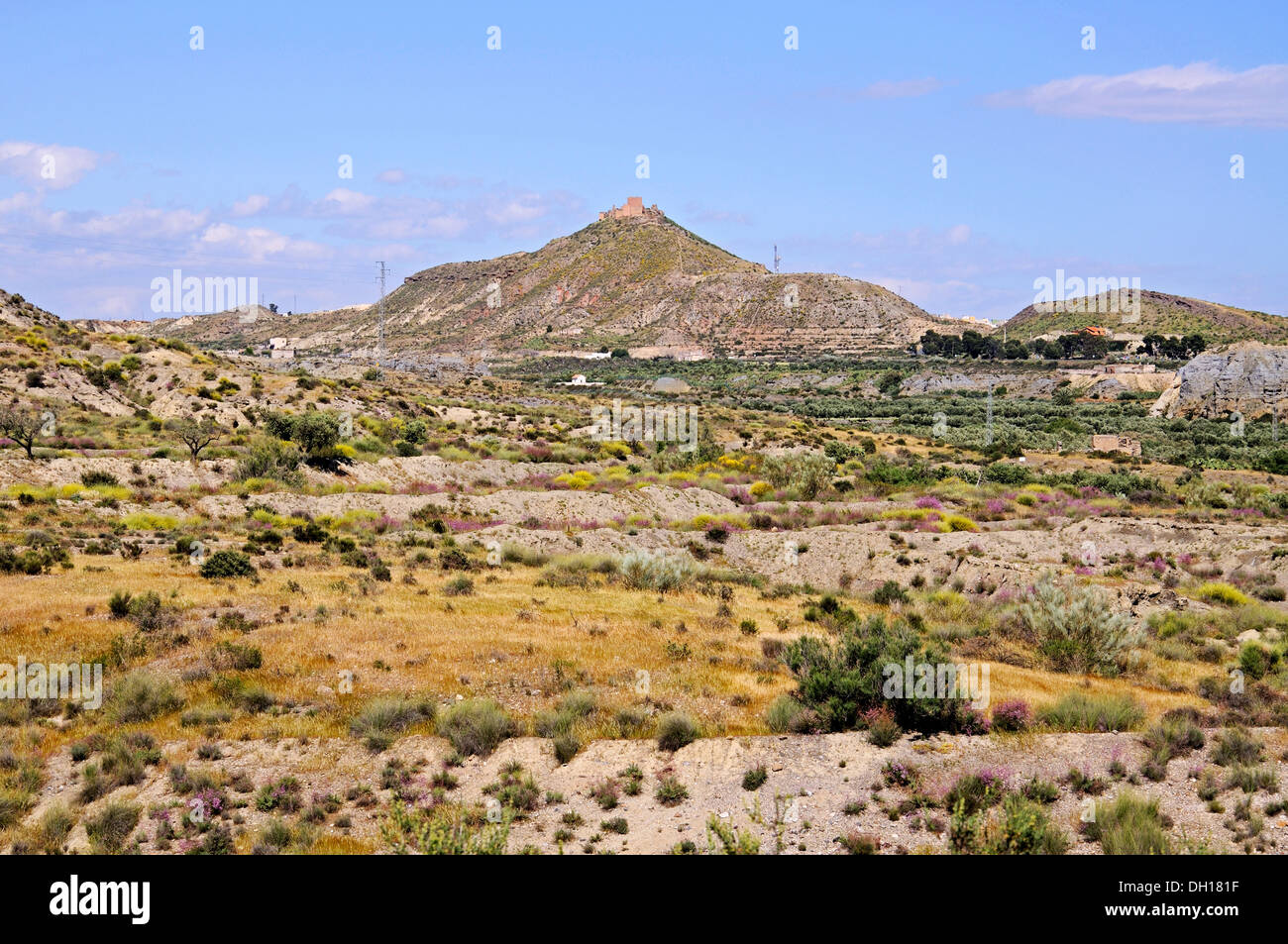 View across the desert with the Arabic Fortress (Nazari castle) on the ...
