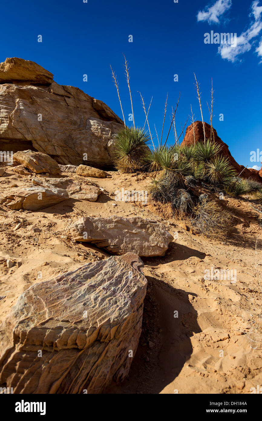 Sandstone Sculptured by erosion, caused by the wind and rain over ...