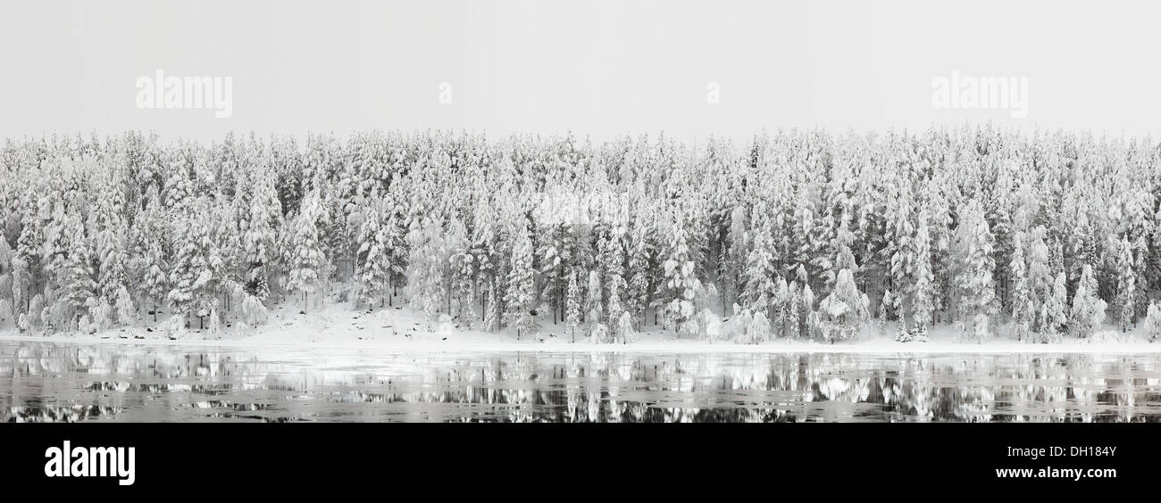 Northern winter landscape. Panorama of the forest with reflection in ...