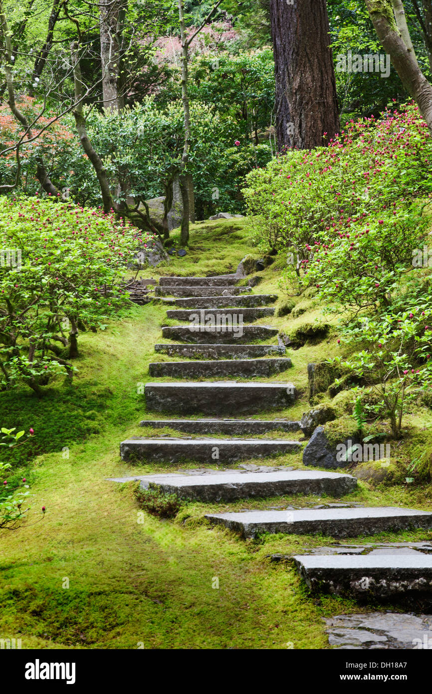 Stone steps in Japanese Garden, Portland, Oregon, United States Stock ...