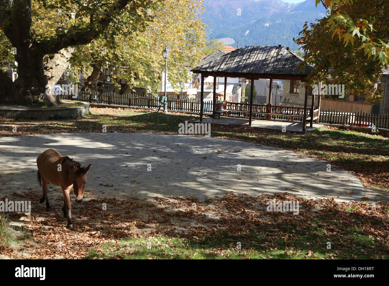 Metsovon hi-res stock photography and images - Alamy