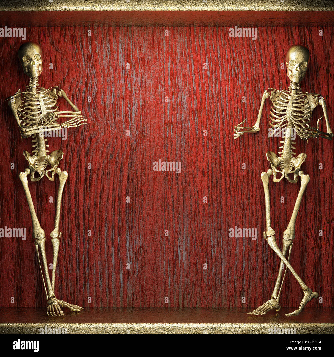 Wood anatomy hi-res stock photography and images - Alamy