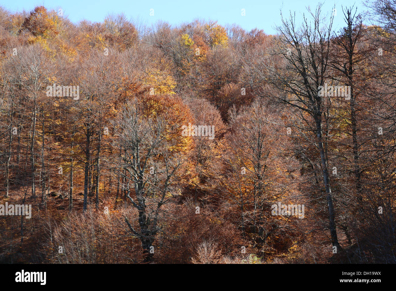 Fall of greece hi-res stock photography and images - Alamy