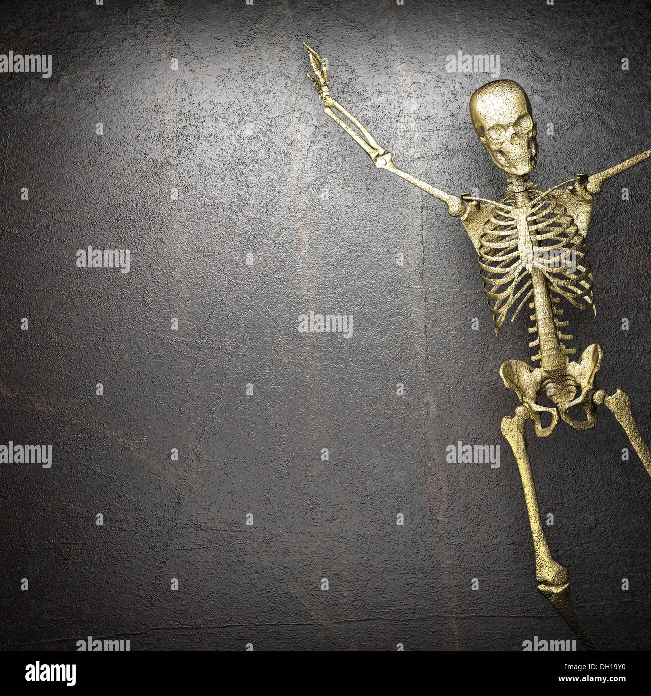 Light alloy skeleton hi-res stock photography and images - Alamy