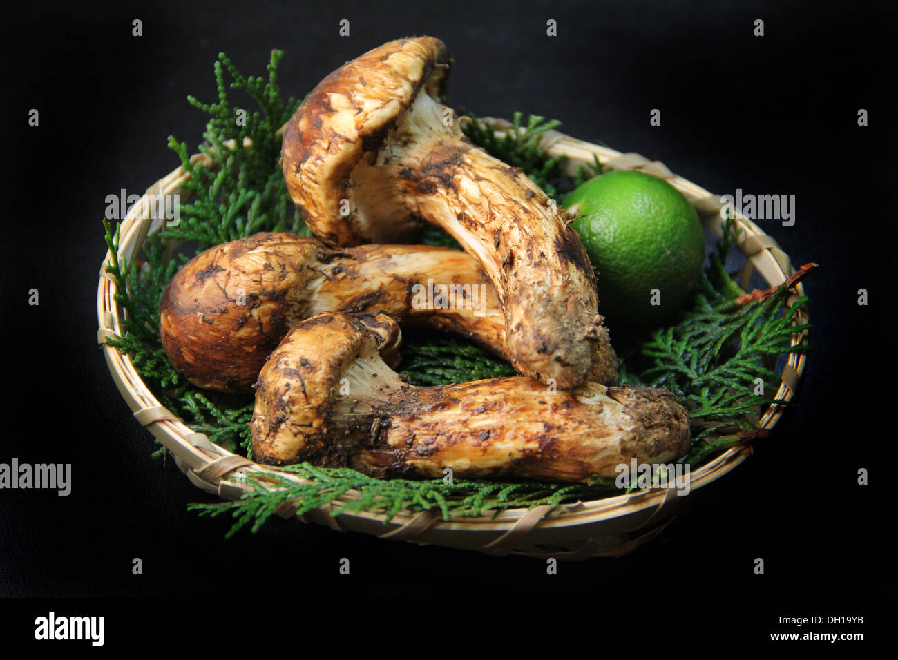 Matsutake mushroom hi-res stock photography and images - Alamy
