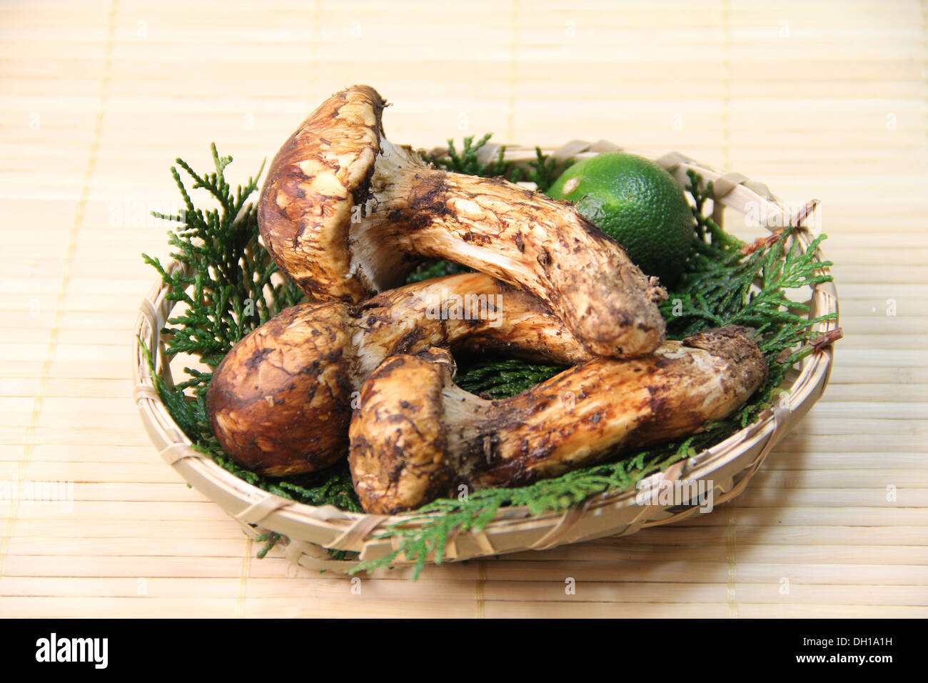 Matsutake mushroom hi-res stock photography and images - Alamy
