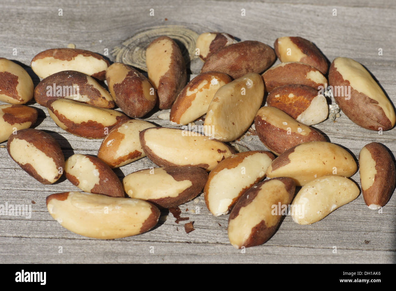 Para Nuts High Resolution Stock Photography and Images - Alamy