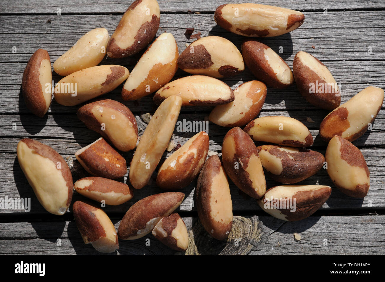 Brazil nut trees hi-res stock photography and images - Alamy