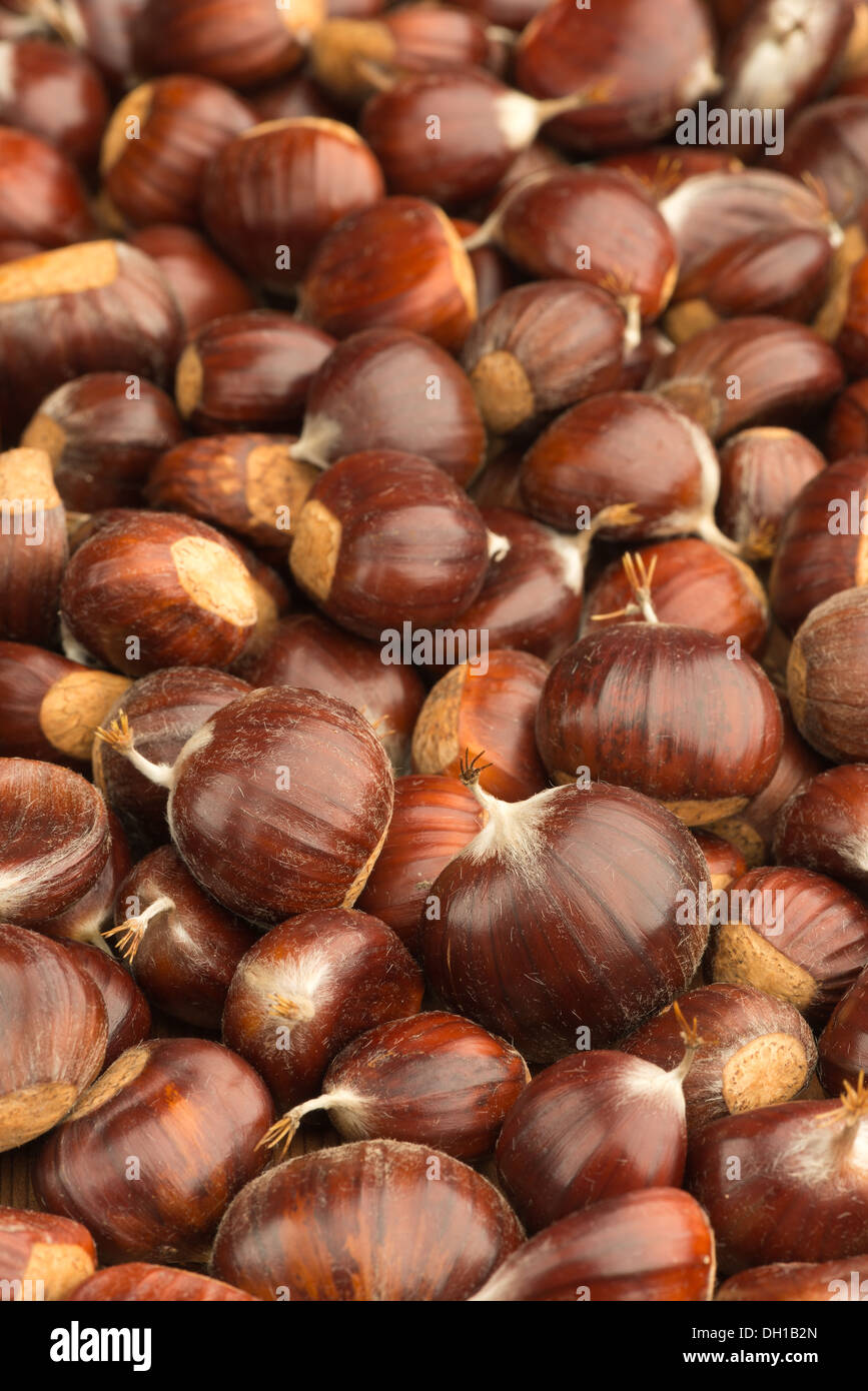 Shiny brown nut shells hi-res stock photography and images - Alamy