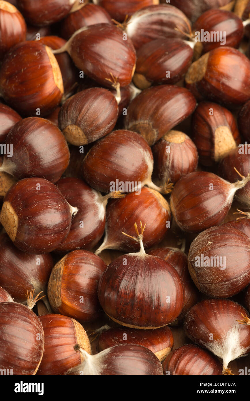 Shiny brown nut shells hi-res stock photography and images - Alamy