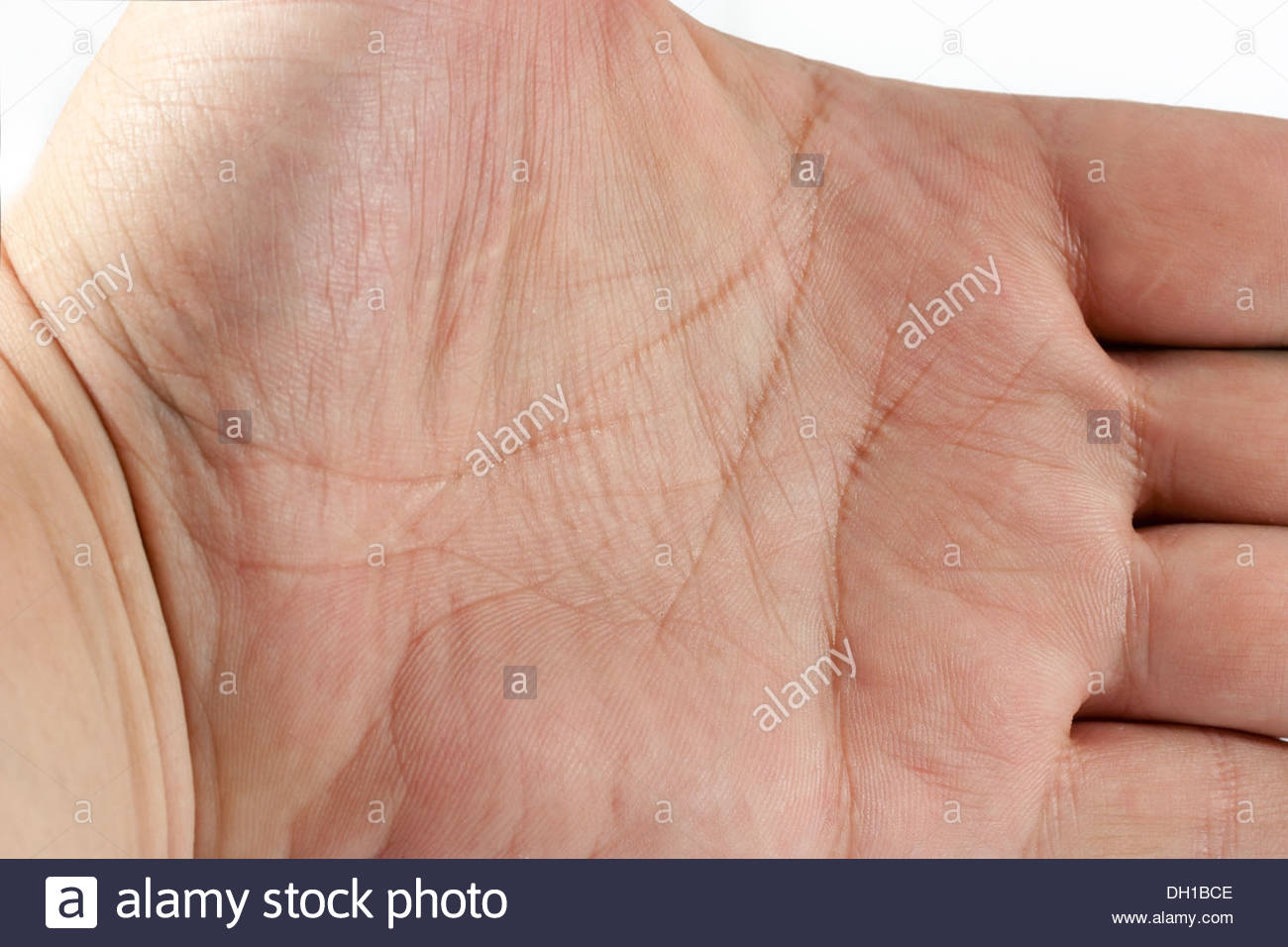 Palmistry High Resolution Stock Photography and Images - Alamy