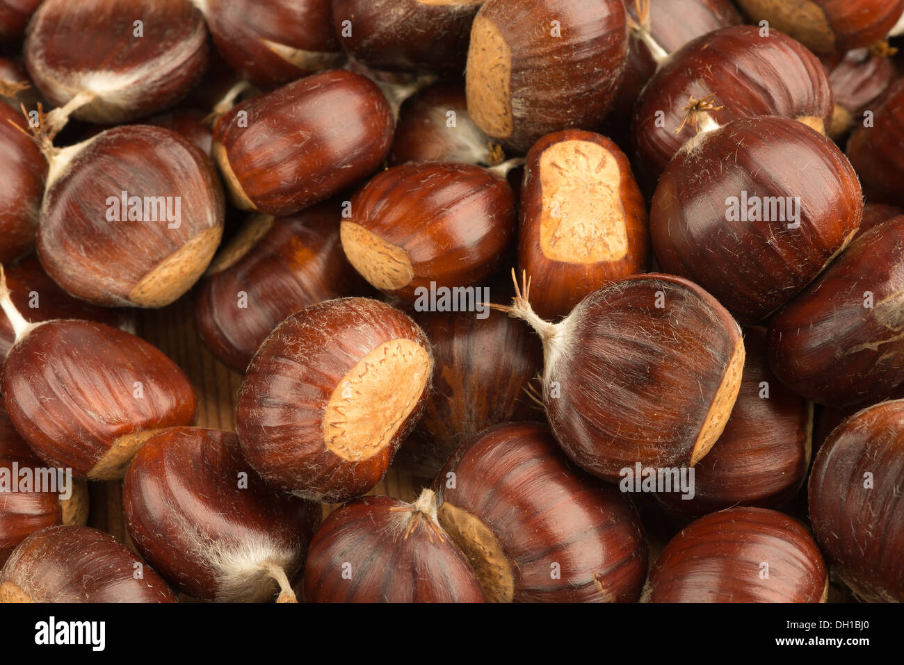 Shiny brown nut shells hi-res stock photography and images - Alamy