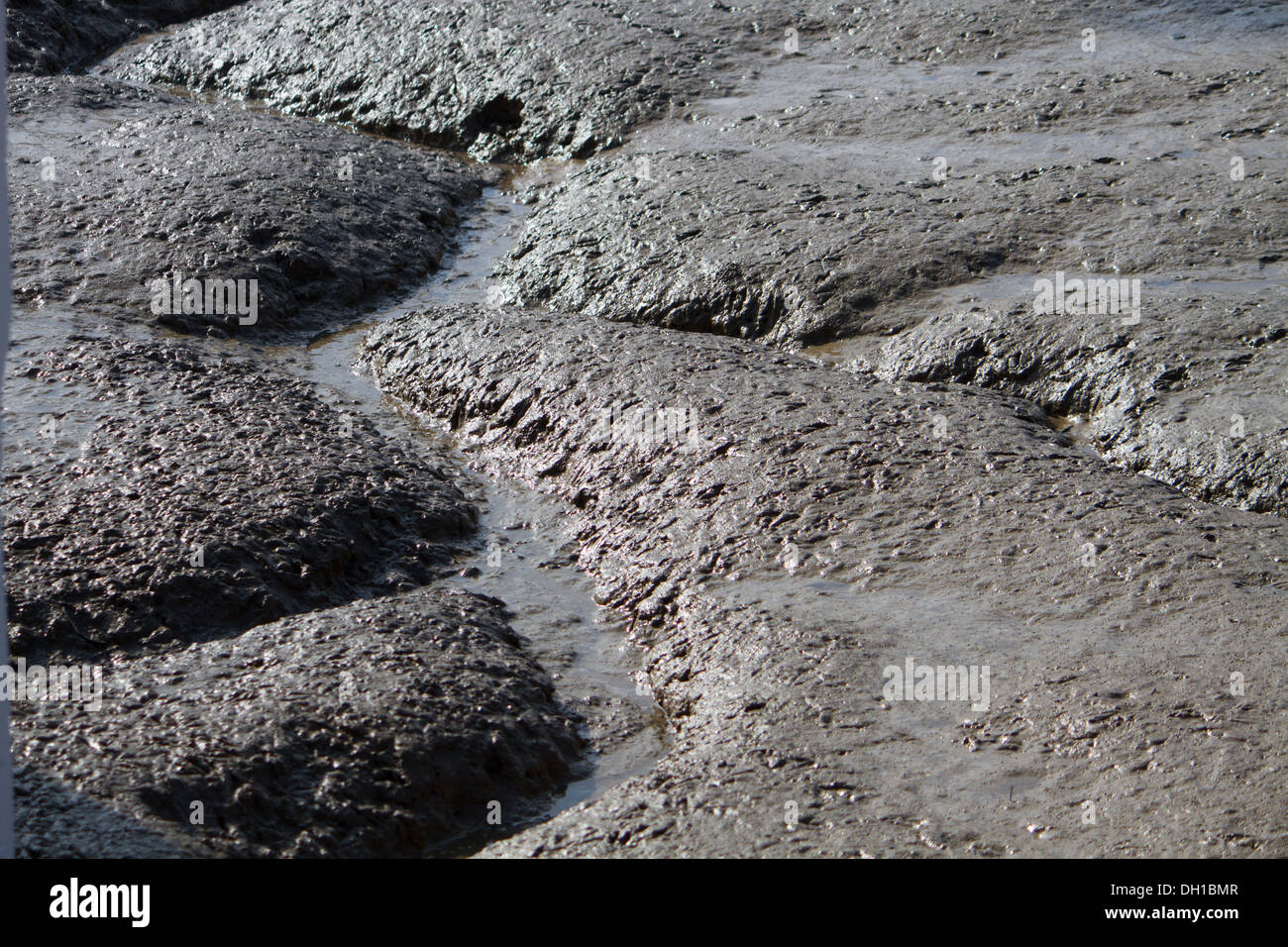 Mudflat Stock Photos & Mudflat Stock Images - Alamy