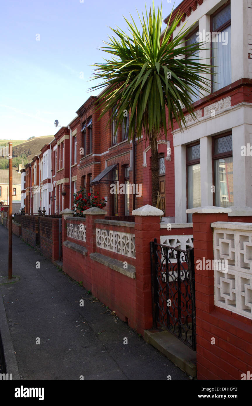 Typical plant hi-res stock photography and images - Alamy