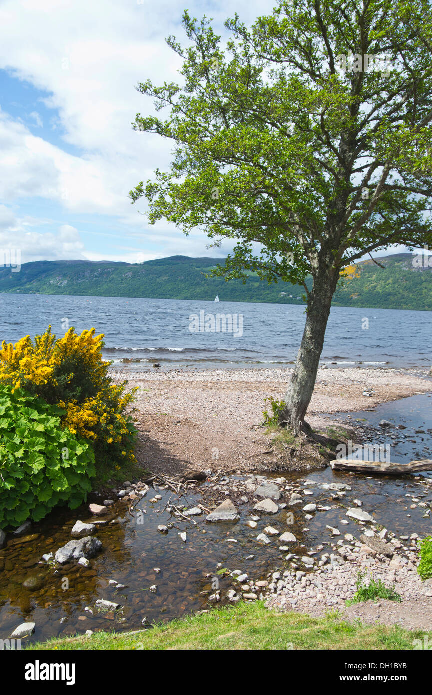 Looking down Loch Ness from Dores, Inverness, Highland Region, Scotland ...