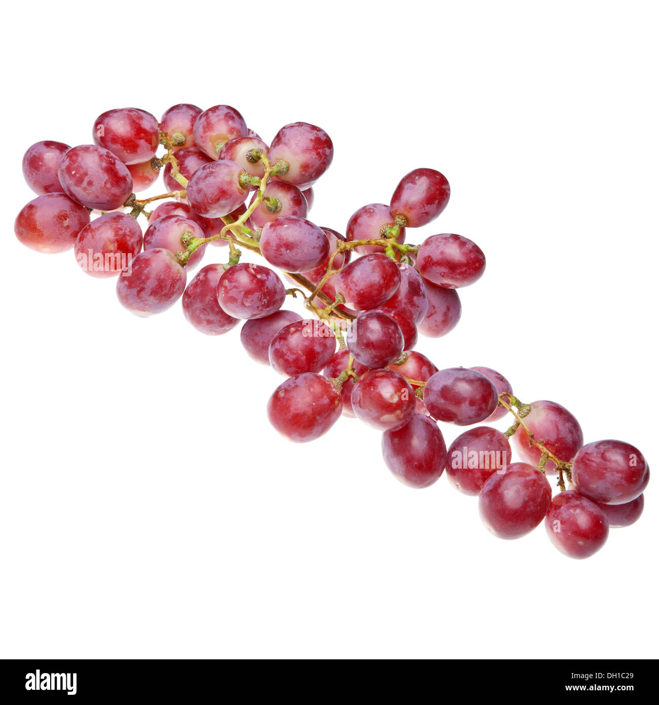 Cluster of grapes Stock Photo - Alamy