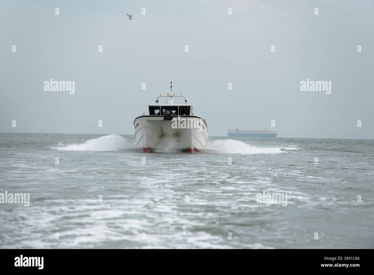 Sailing catamaran bow hi-res stock photography and images - Alamy