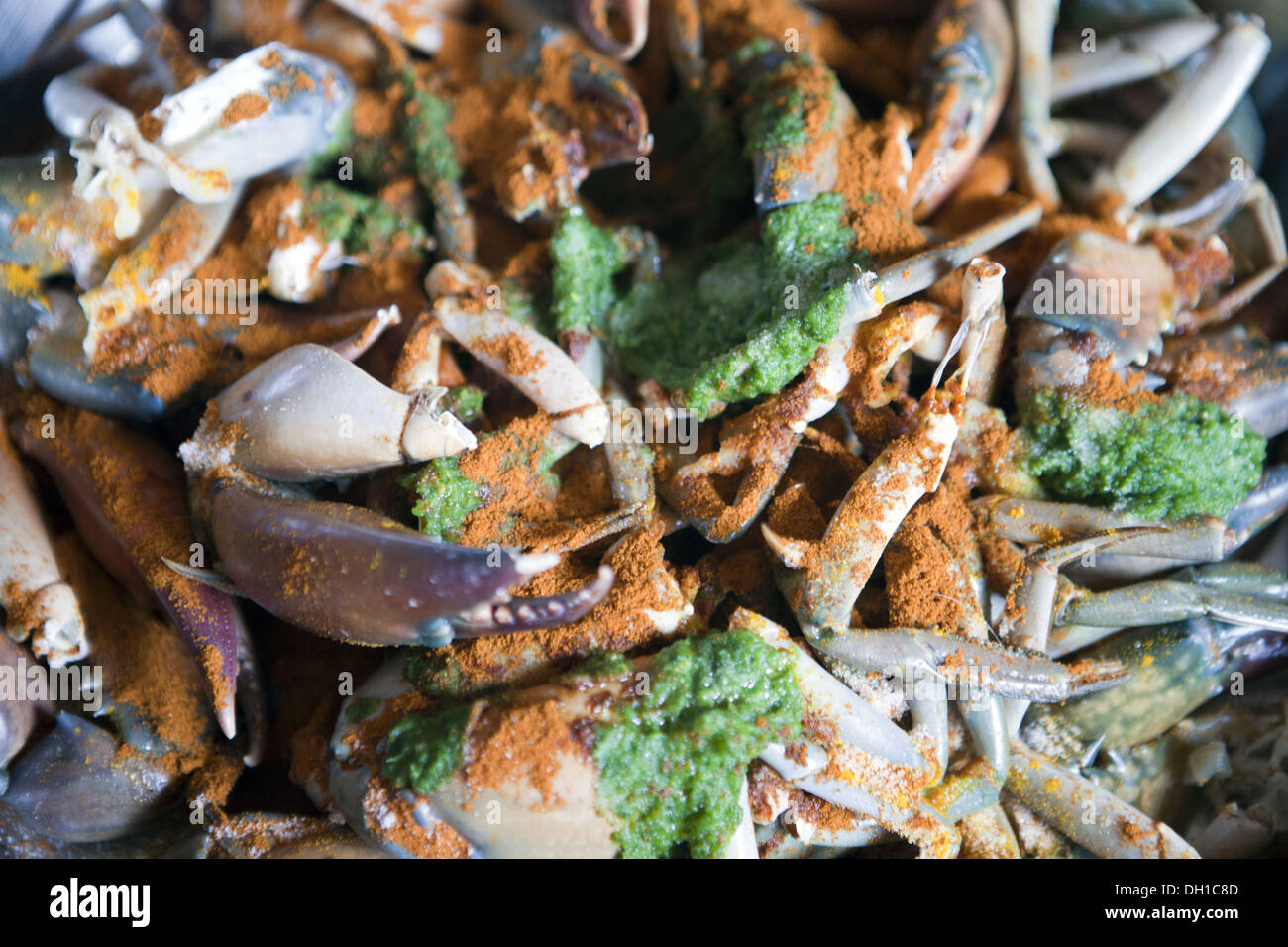 Crabs of india hi-res stock photography and images - Alamy