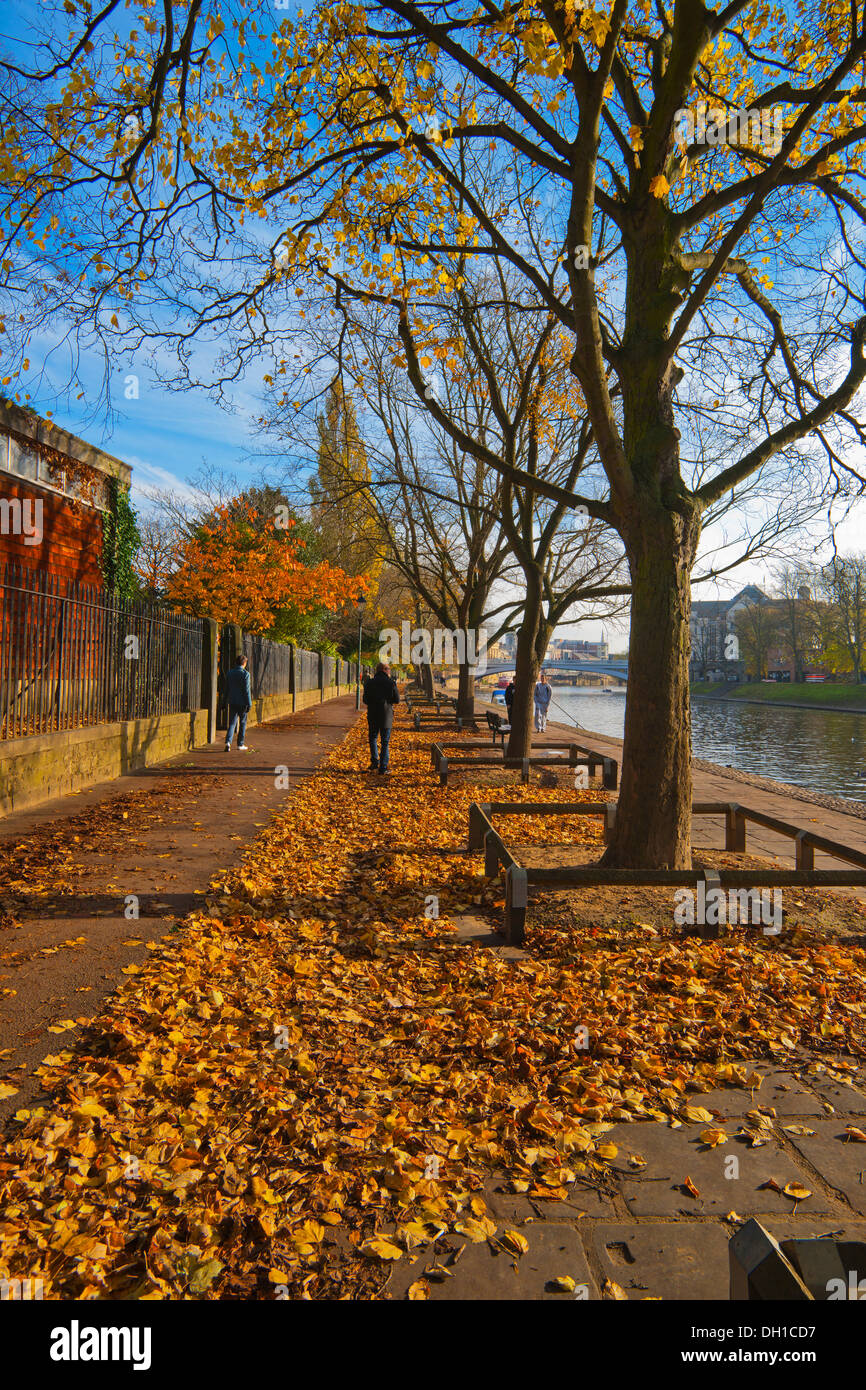 Yorkshire autumn walk hi-res stock photography and images - Alamy