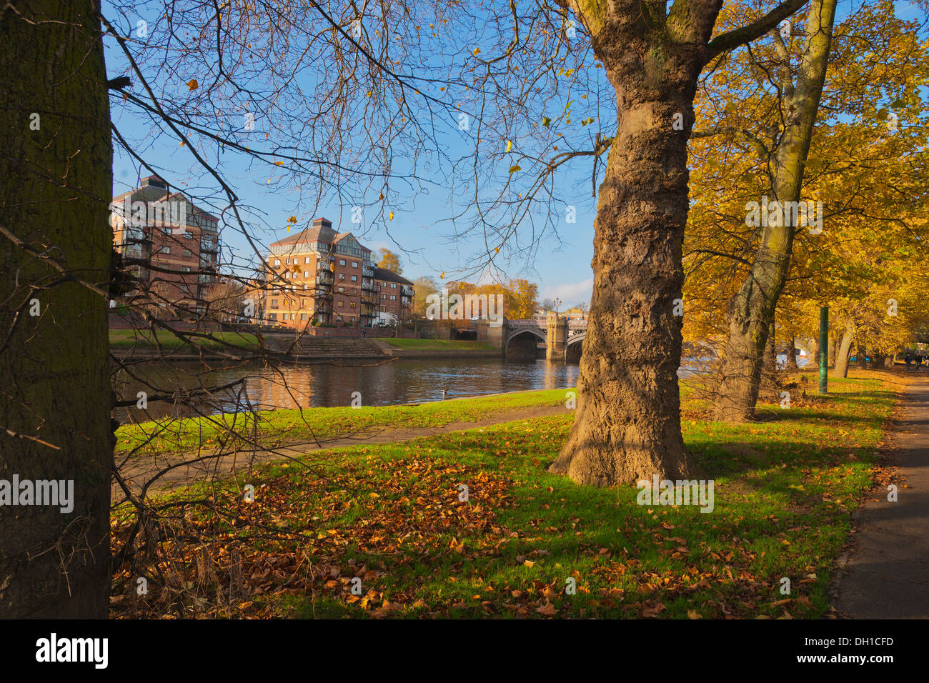 Yorkshire autumn walk hi-res stock photography and images - Alamy