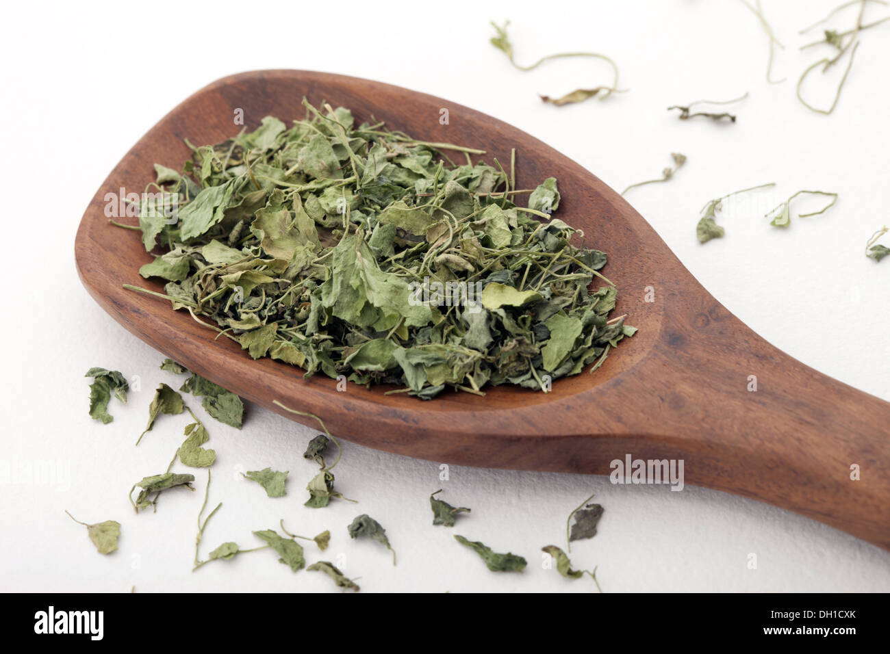 Dried trigonella foenum graecum fenugreek Stock Photo - Alamy