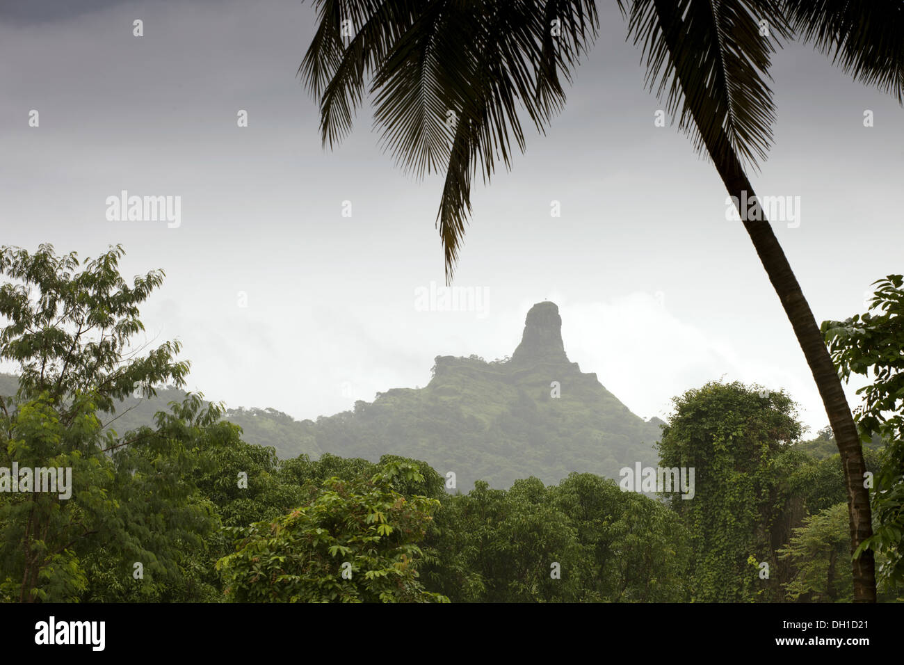 thumb mountain Karnala fort Panvel raigad Maharashtra India Asia Stock ...