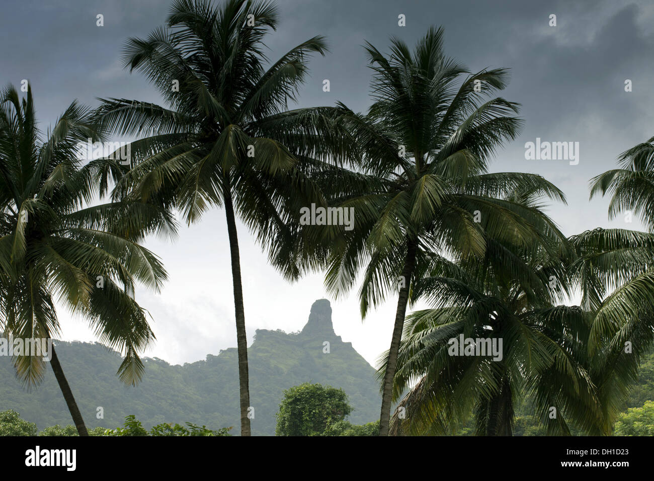 palm trees thumb mountain Karnala fort Panvel raigad Maharashtra India ...