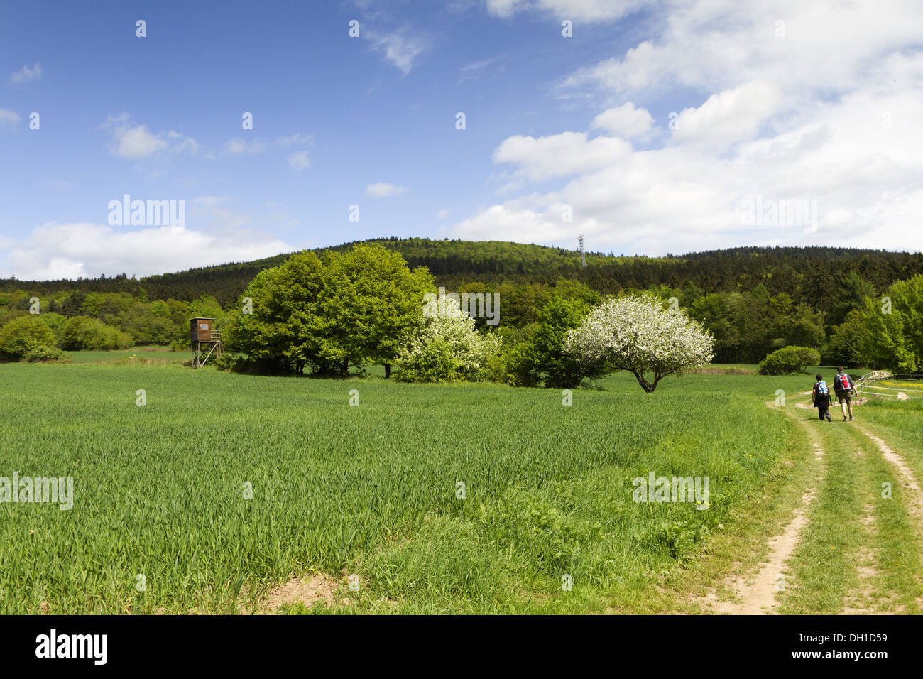 Go rambling hi-res stock photography and images - Alamy