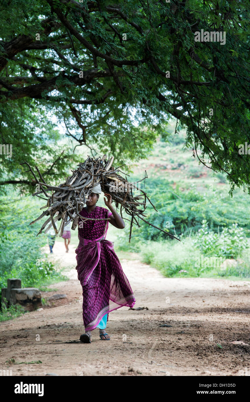 Indian woman collecting firewood hi-res stock photography and images ...