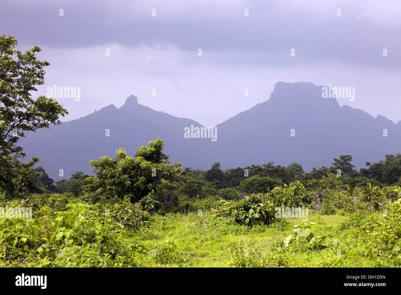 landscape monsoon greenery and Sahyadri mountain range Panvel raigad ...