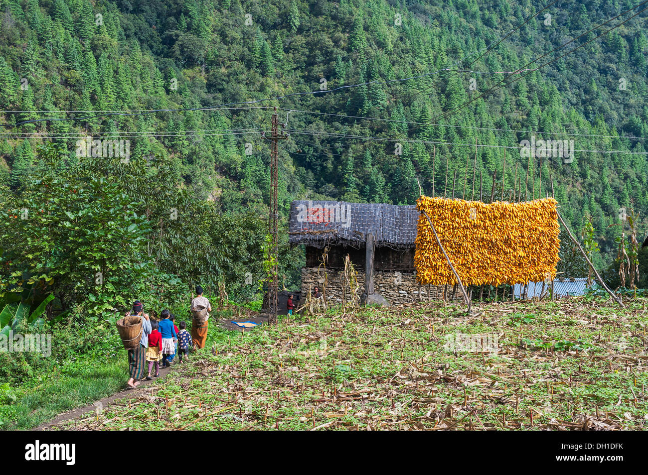 Baskets of maize hi-res stock photography and images - Alamy